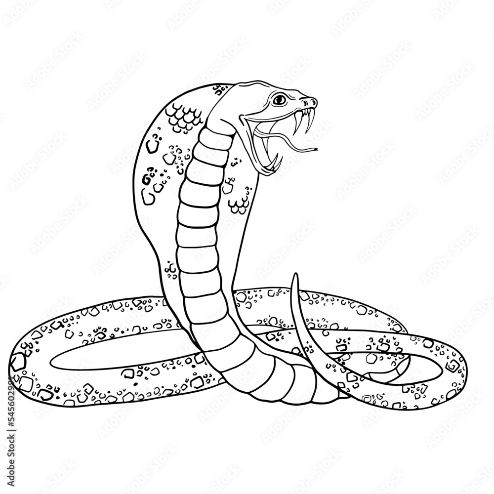 Stock-Vektorgrafik „Cobra snake - vector outline king cobra poisonous ...