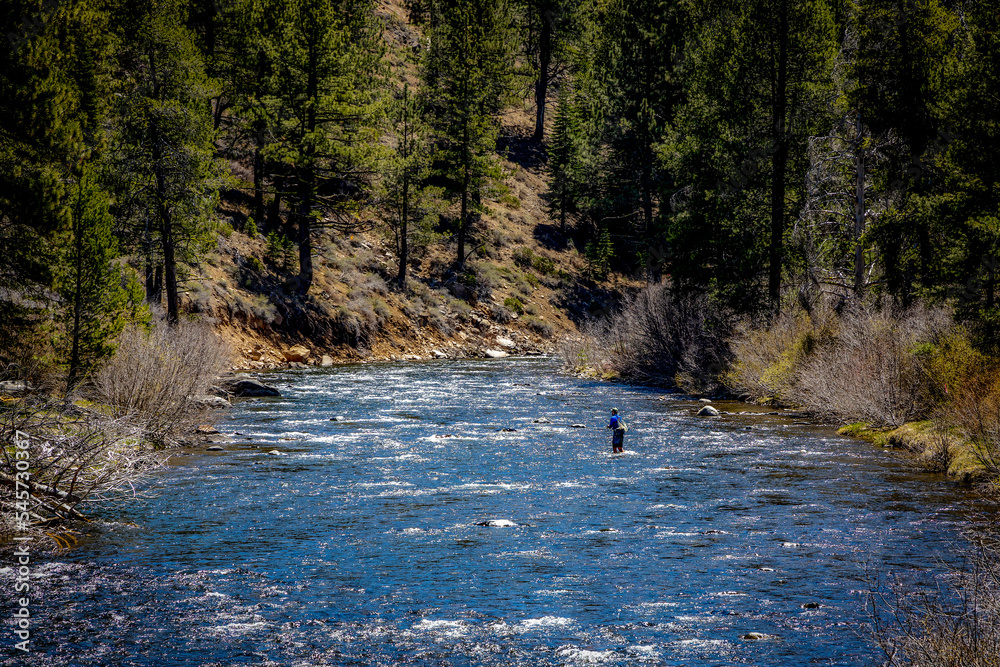 Fly fishing the Truckee river, a beautiful cold clear clean trout ...