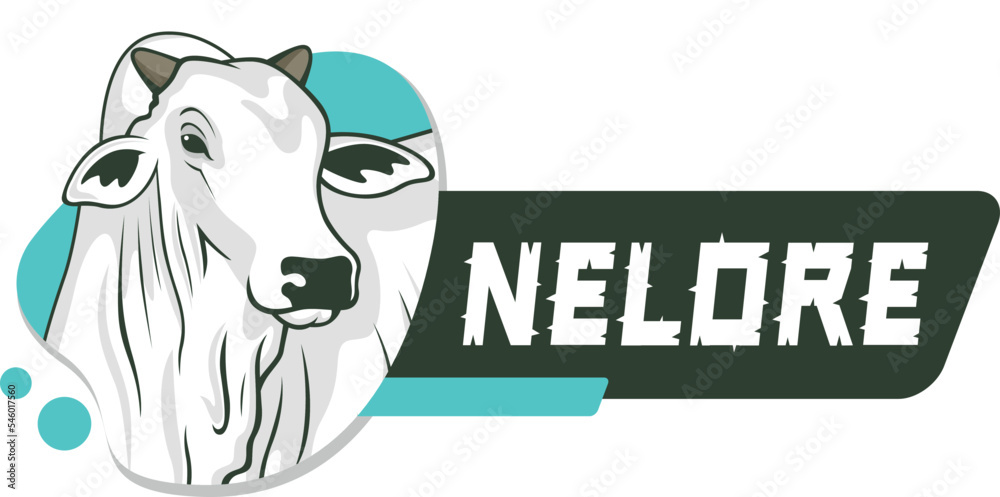 Vector de Stock NELORE LOGO | Adobe Stock