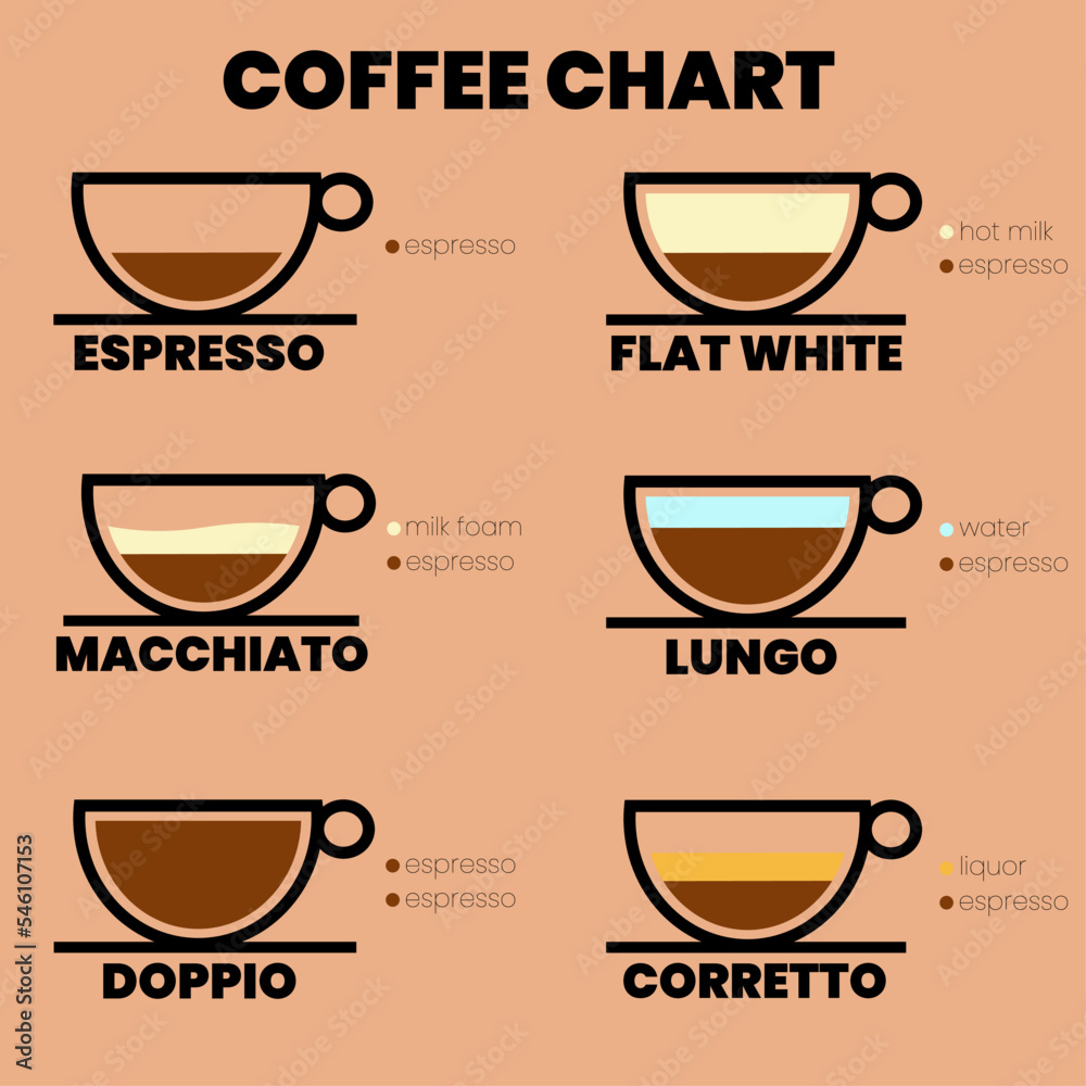 Coffee types infographic vector illustration Stock Vector | Adobe Stock