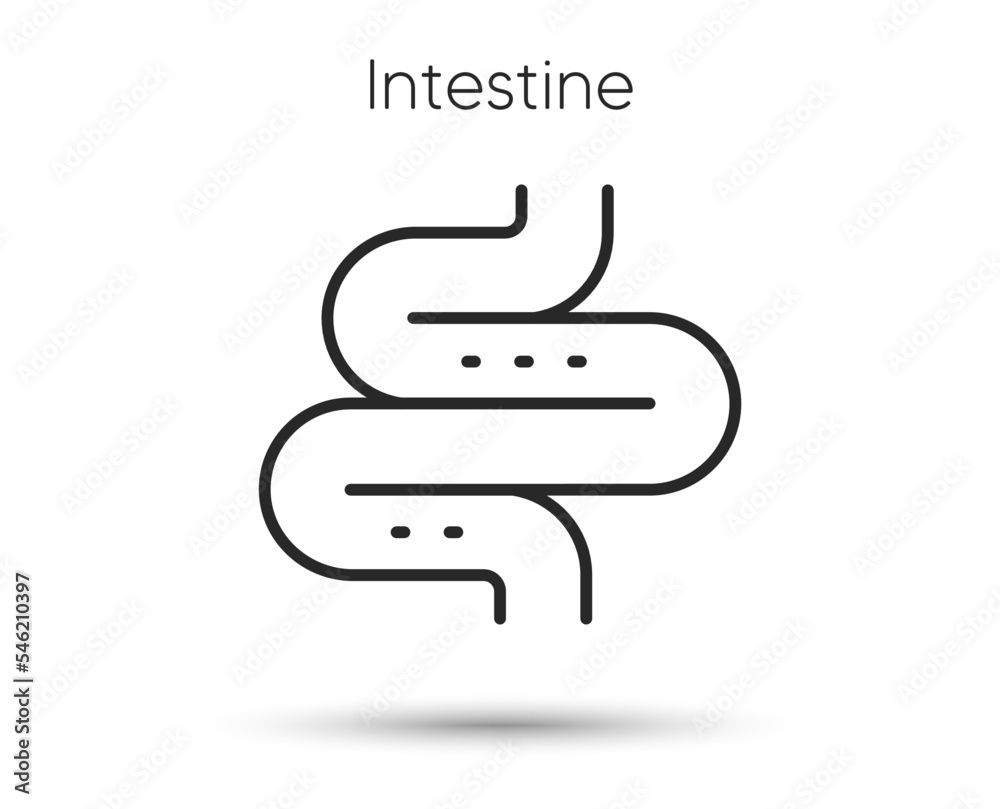 Intestine line icon. Digestion sign. Health bowel symbol. Colonoscopy ...