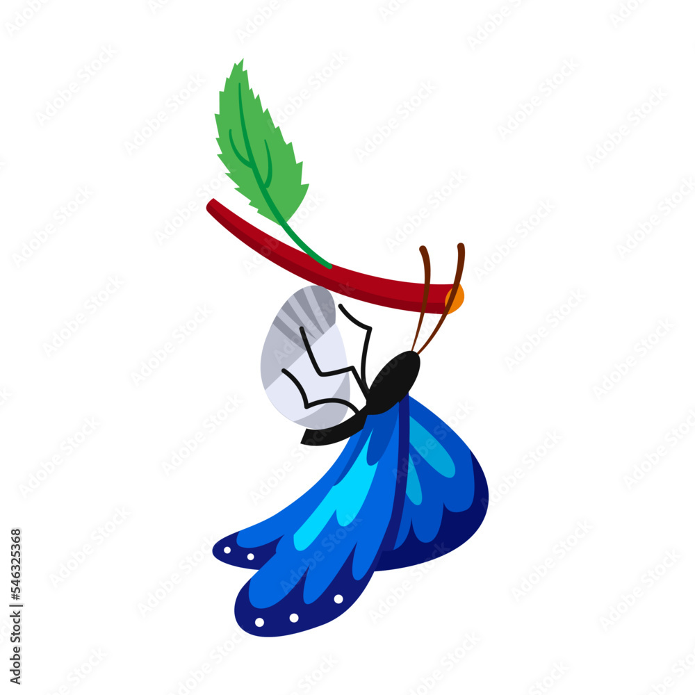 Blue butterfly hatches from a cocoon. Life cycle of butterfly vector ...