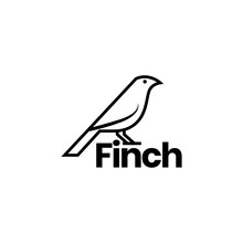Finch Bird Free Stock Photo - Public Domain Pictures
