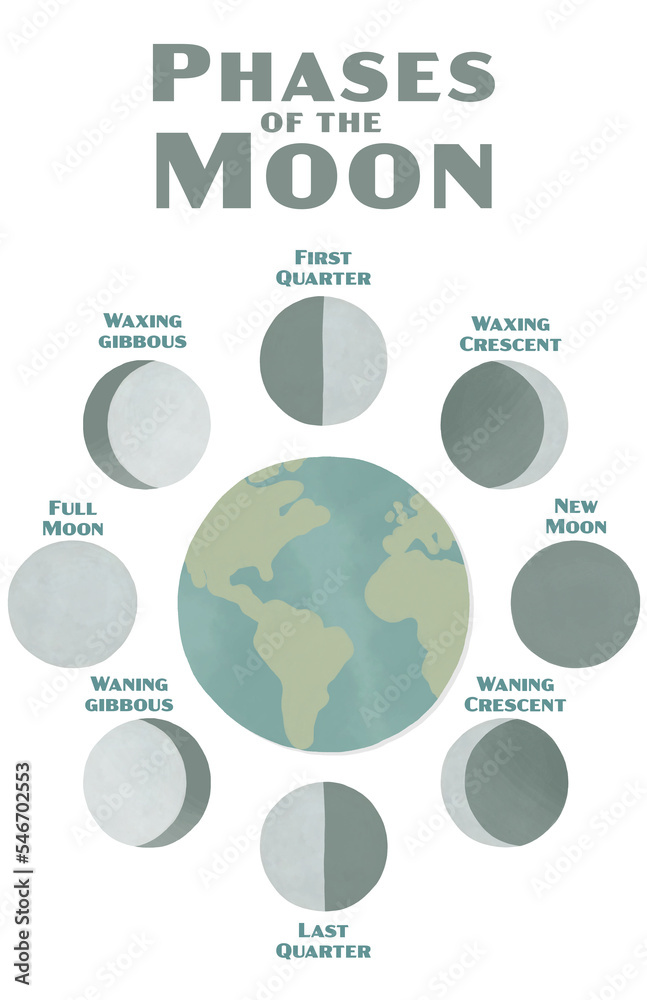 An Educational Poster of the Cycles or Phases of the Moon for Classroom ...