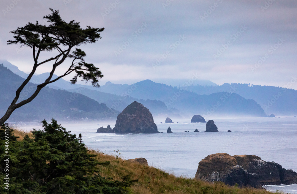 Oregon Coast Nature landscape rugged shoreline hill at Cannon Beach ...