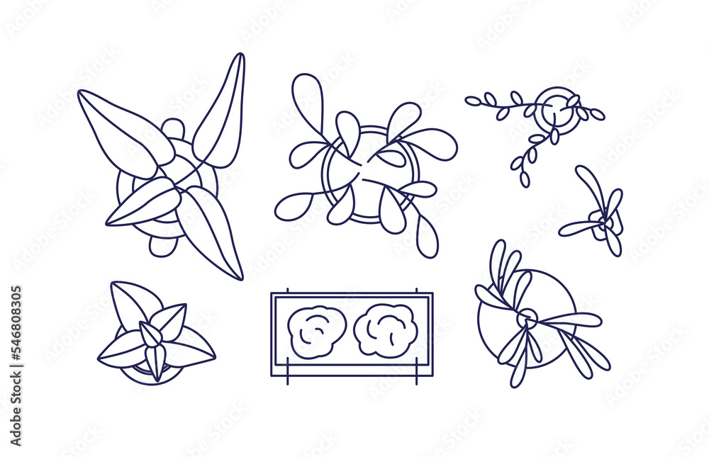 Potted plants top view. Overhead houseplants, flower in vase, home ...