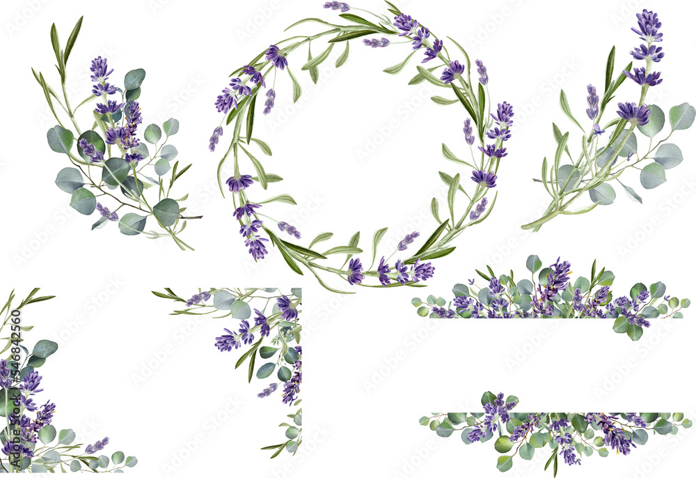 Watercolor eucalyptus leaves and lavender flower illustration. Floral ...