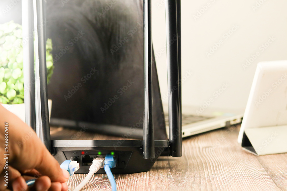 Man plugs internet cable into the router. LAN network and internet ...