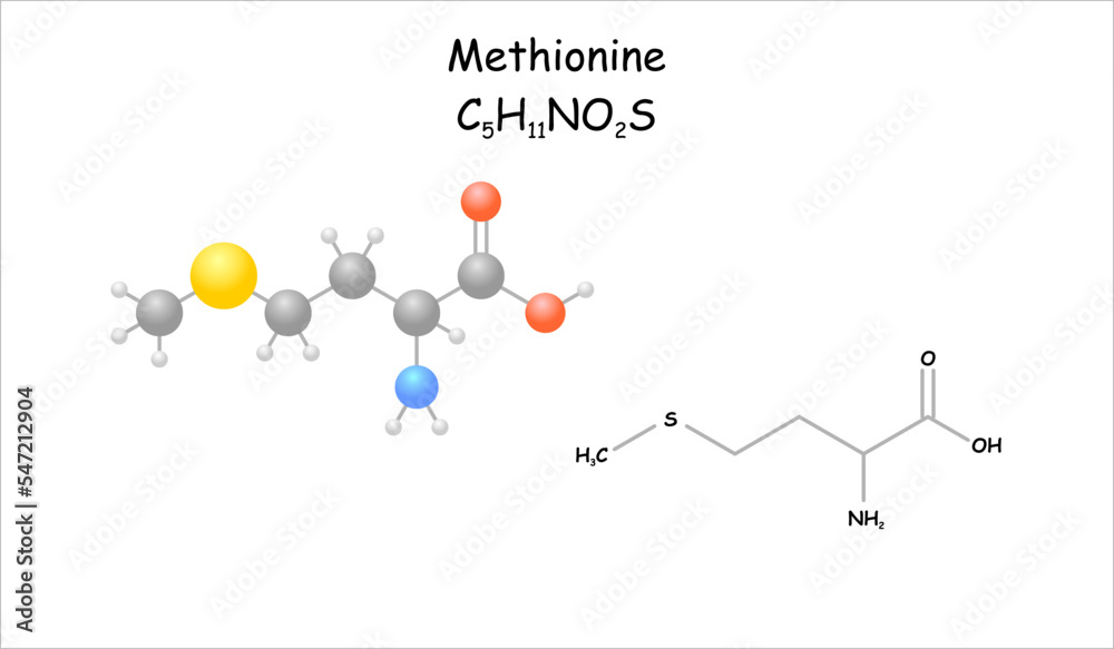 Stylized molecule model/structural formula of methionine Stock Vector ...