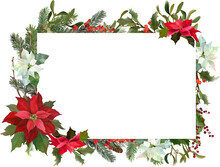 Christmas Poinsettia Card Template Free Stock Photo - Public Domain ...