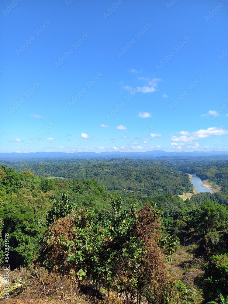 Noon sky. Mountain forest jungle. A small river flows through the ...