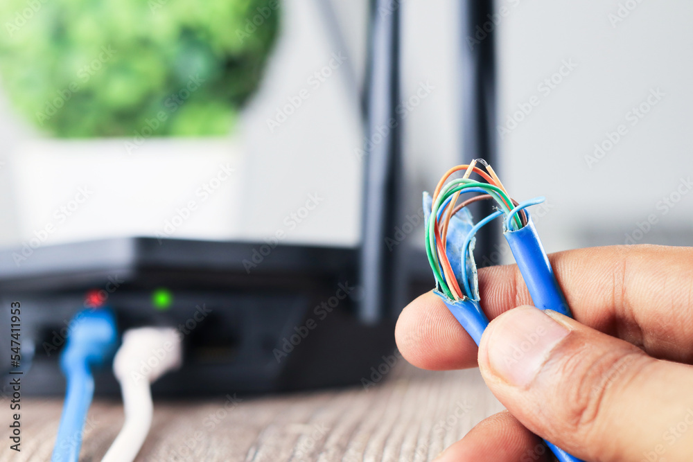 Стоковое фото «Disconnect is close up. damaged UTP ethernet lan cables ...