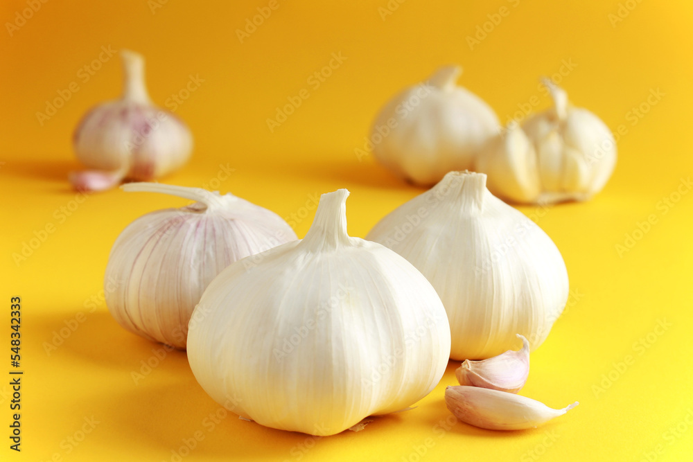 Fresh white unpeeled head bulb of garlic and garlic cloves on yellow ...