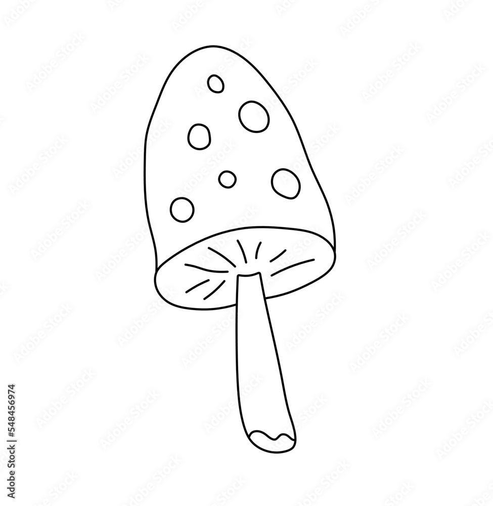 Vector isolated one fly agaric poison mushroom toadstool colorless ...