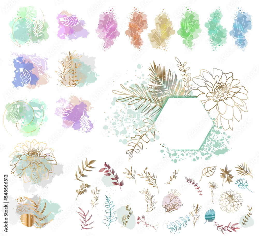 Hand drawn colorful plant set - universally usable. Botanical, chic and ...