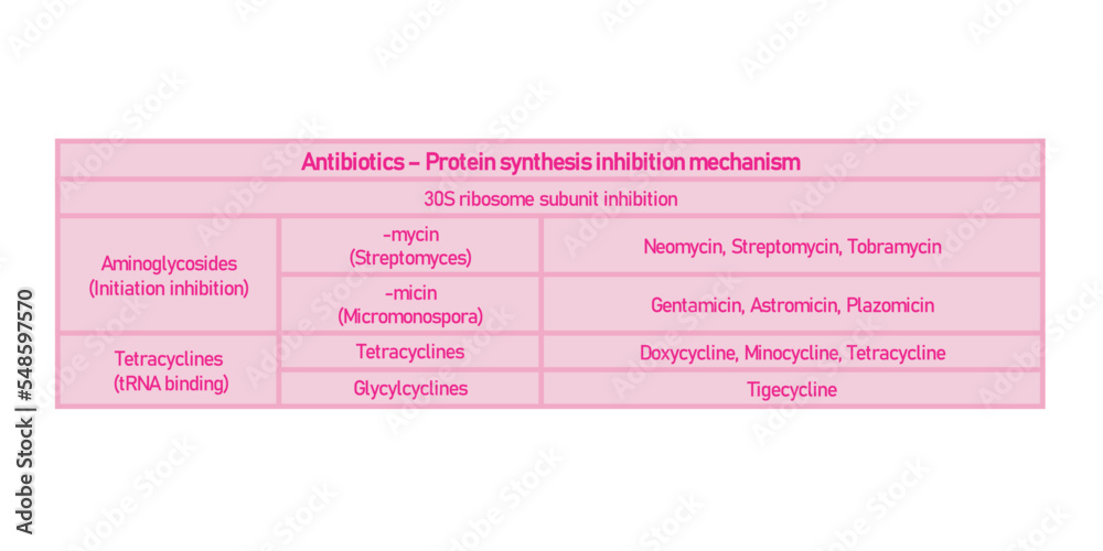 Table showing classification of 30S ribosome subuinit inhibitor ...