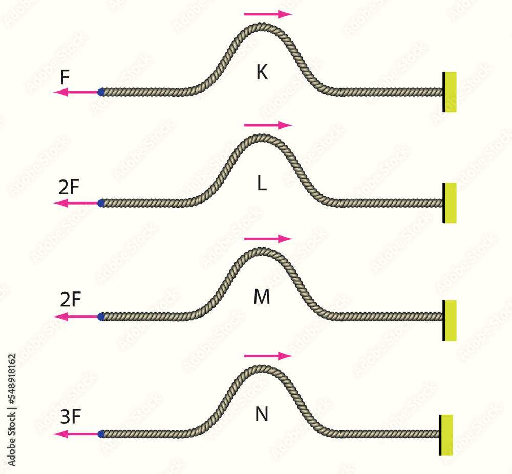 physics. spring stretched. transverse waves. longitudinal. The ...