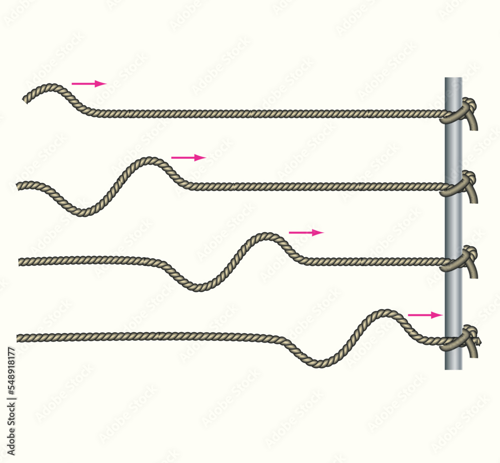 physics. spring stretched. transverse waves. longitudinal. The ...