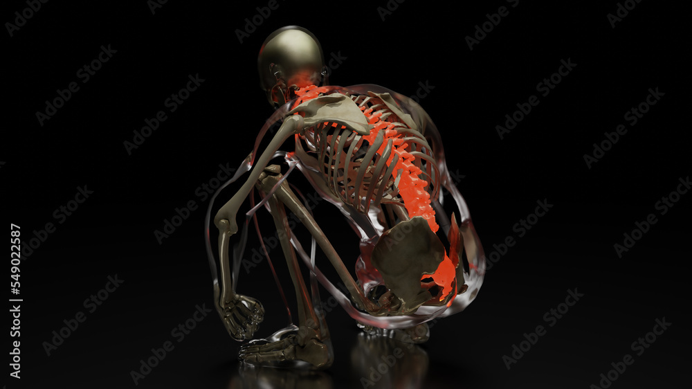 Human Skeleton System Anatomy Concept. Red on the backbone, medically ...