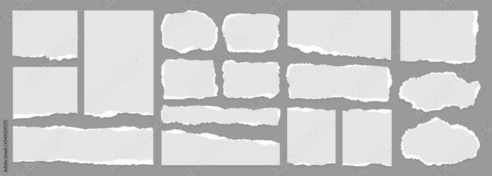 Set of white torn or ripped paper sheet. Scrapbook edge, notebook tear ...