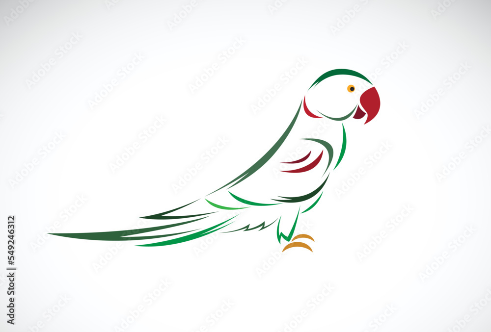 Vector of parrot design on white background. Wild Animals. Birds. Easy ...