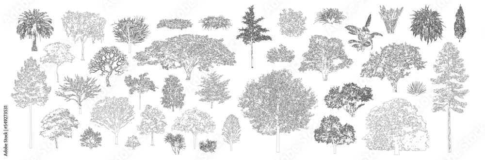 Minimal style cad tree line drawing, Side view, set of graphics trees ...