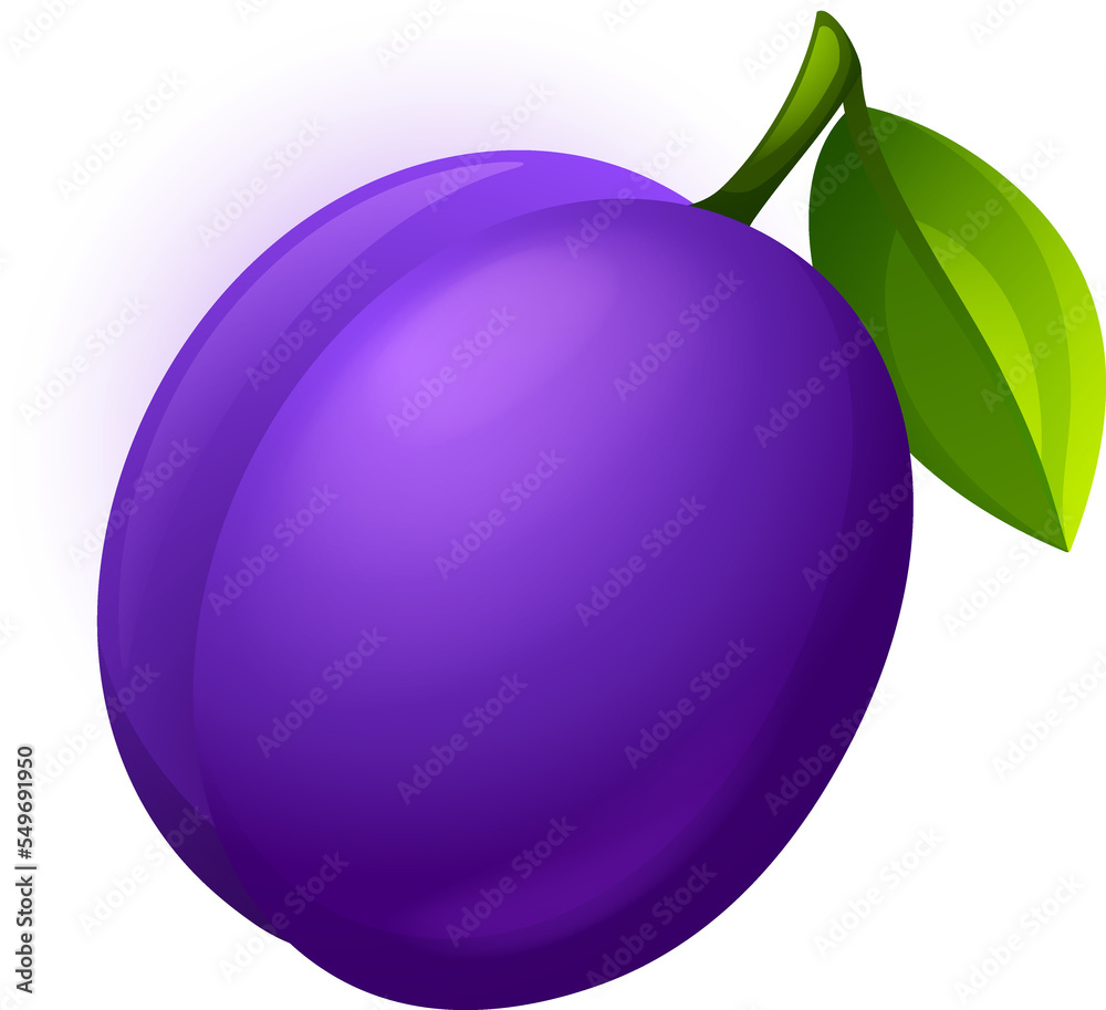 Purple plum Stock Illustration | Adobe Stock