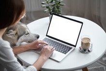 Dog Using Laptop Computer Free Stock Photo - Public Domain Pictures