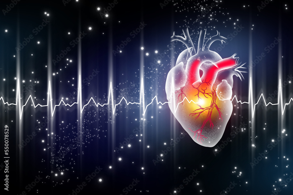 Heart. Abstract 3d human heart isolated on dark blue. White cardio ...