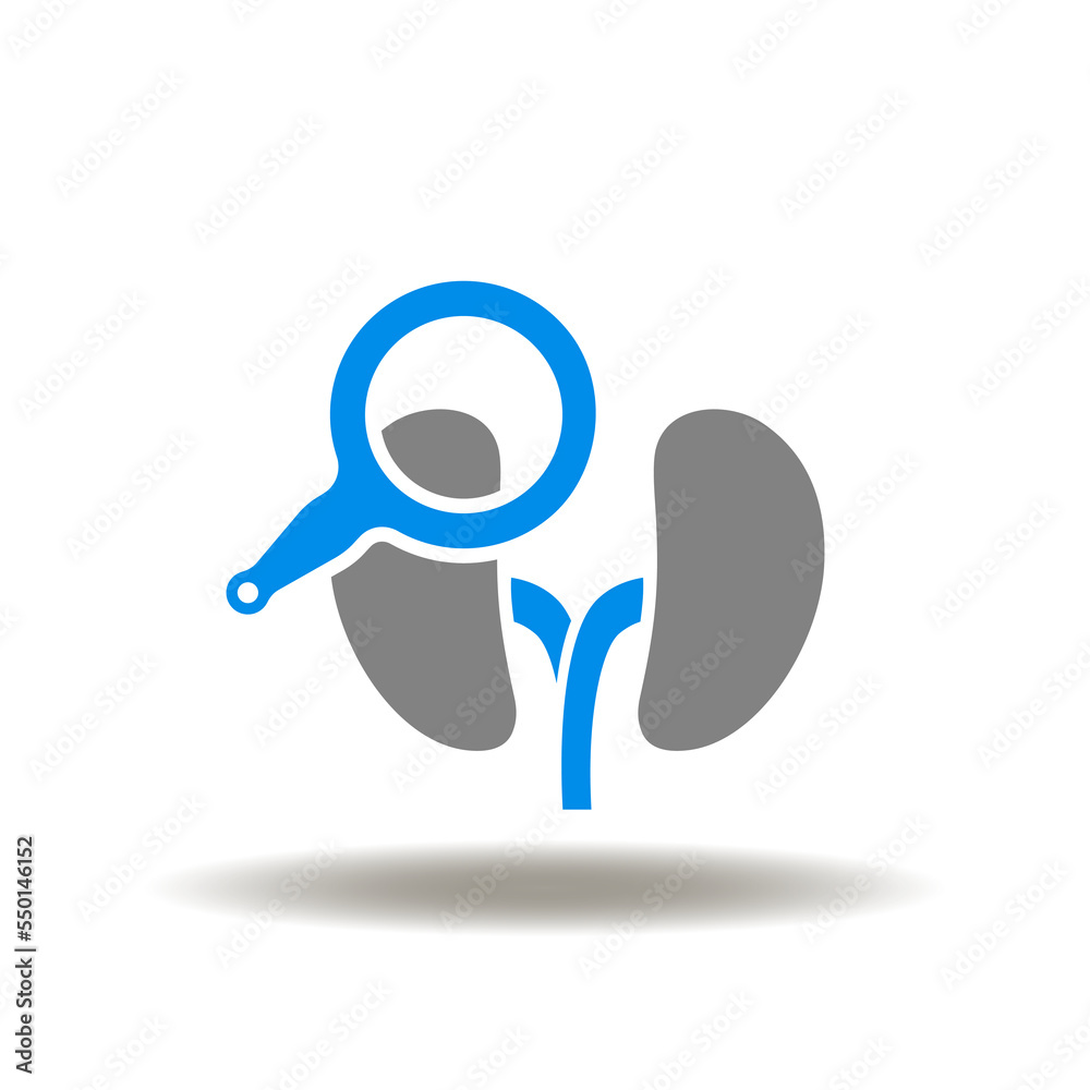 Stock-Vektorgrafik „Vector illustration of kidneys gland and magnifier ...