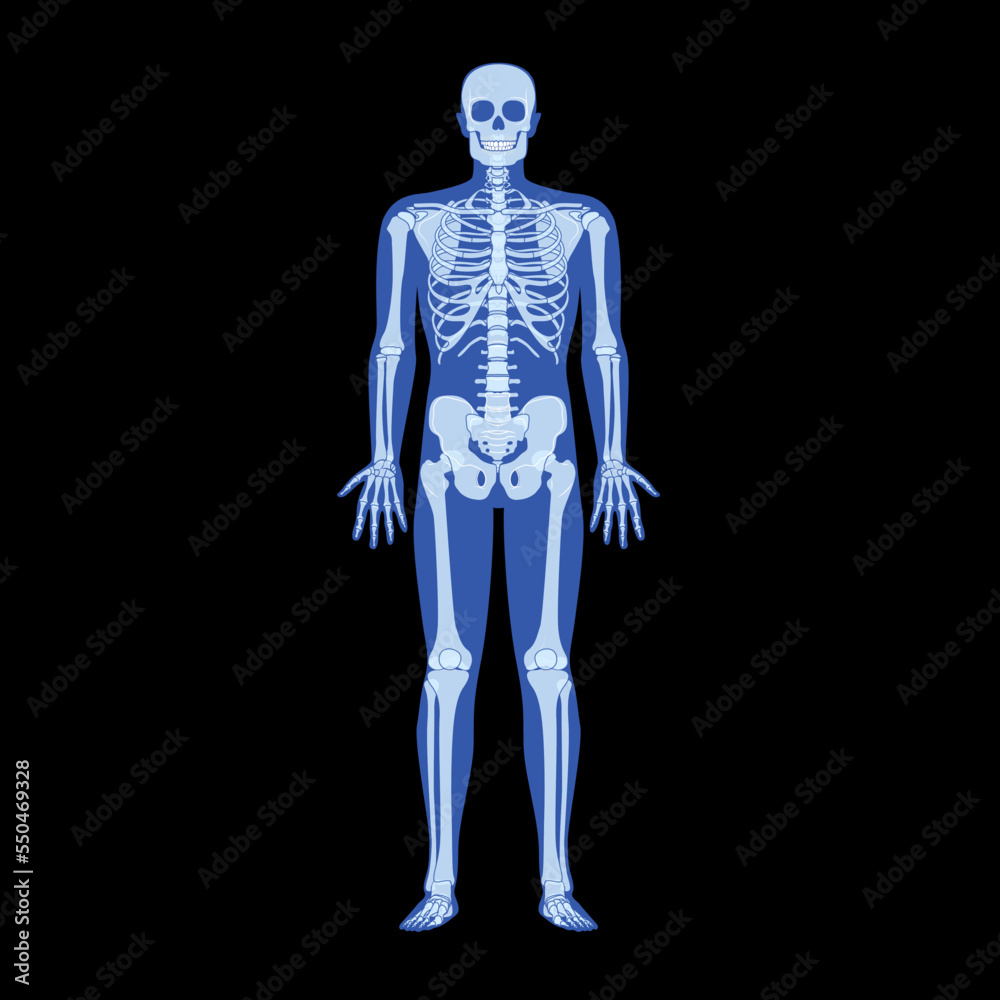 X-Ray Skeleton Human body - hands, legs, chests, heads, vertebra ...