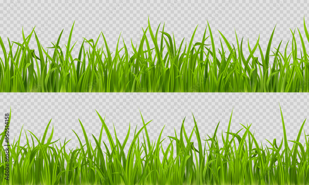 Seamless grass, realistic green lawn horizontal pattern isolated on ...
