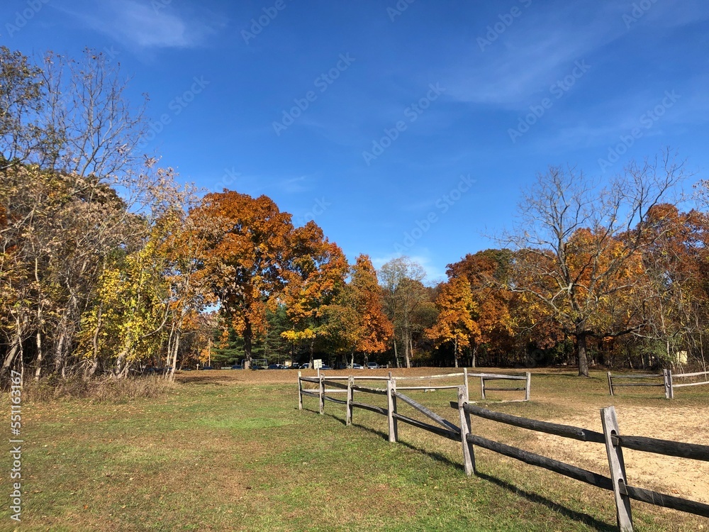 Autumn leaves and an old fence at Blydenburgh County Park in Smithtown ...
