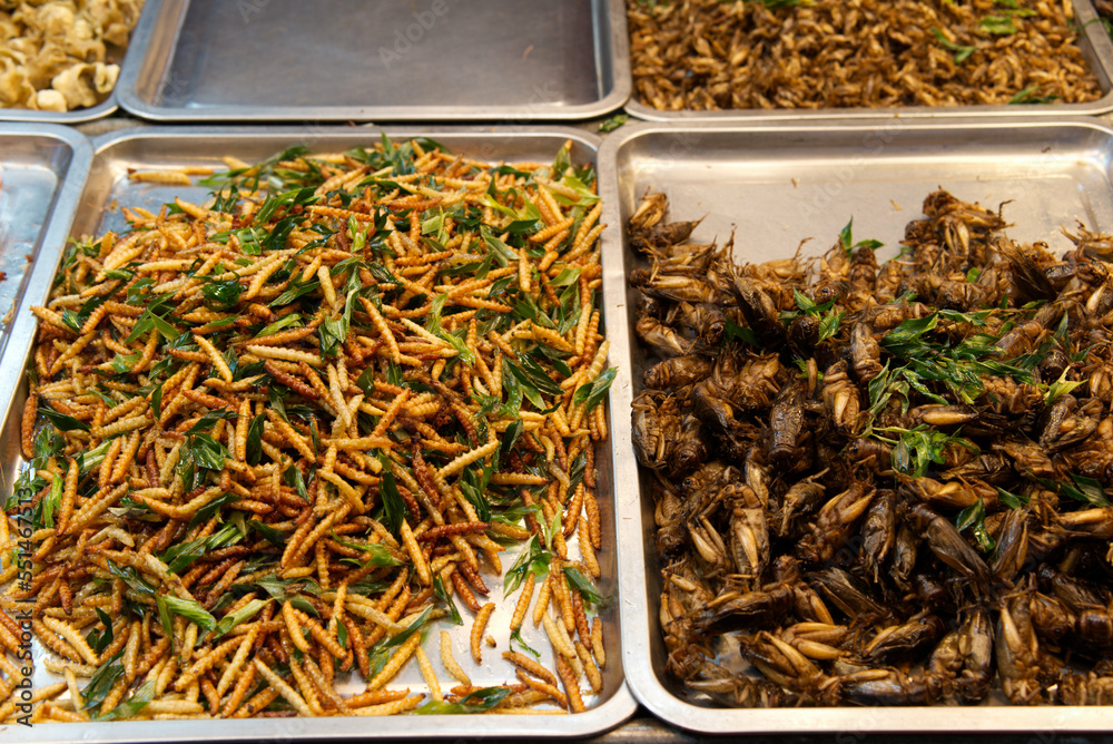 Thai street food fried insects Stock Photo | Adobe Stock