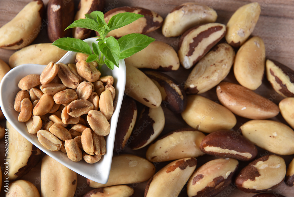 chestnuts are the achenes usually three of the hedgehog, the epinescent ...