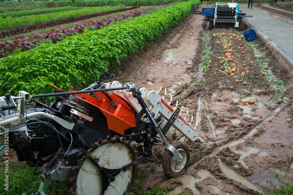Cultivation tractor is rotary tillers for excavator in the farm for ...