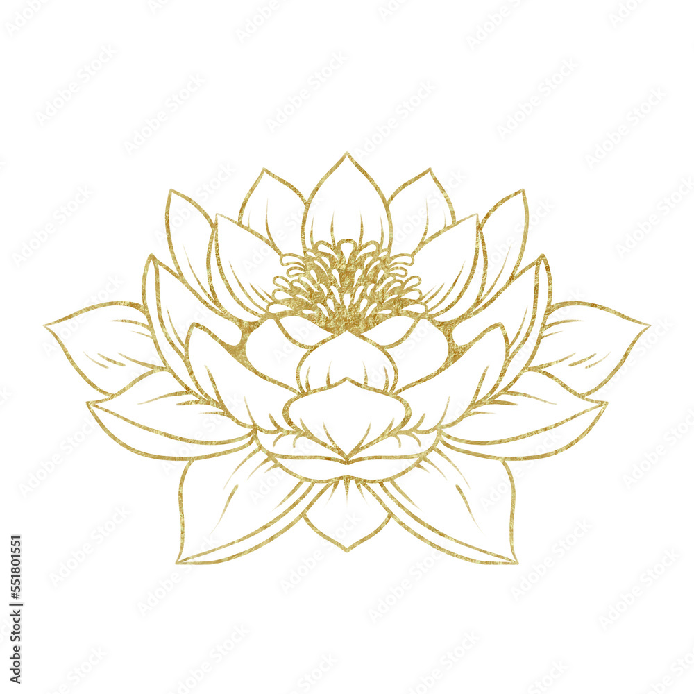 Lotus flower with transparent golden color outline, perfect for your ...