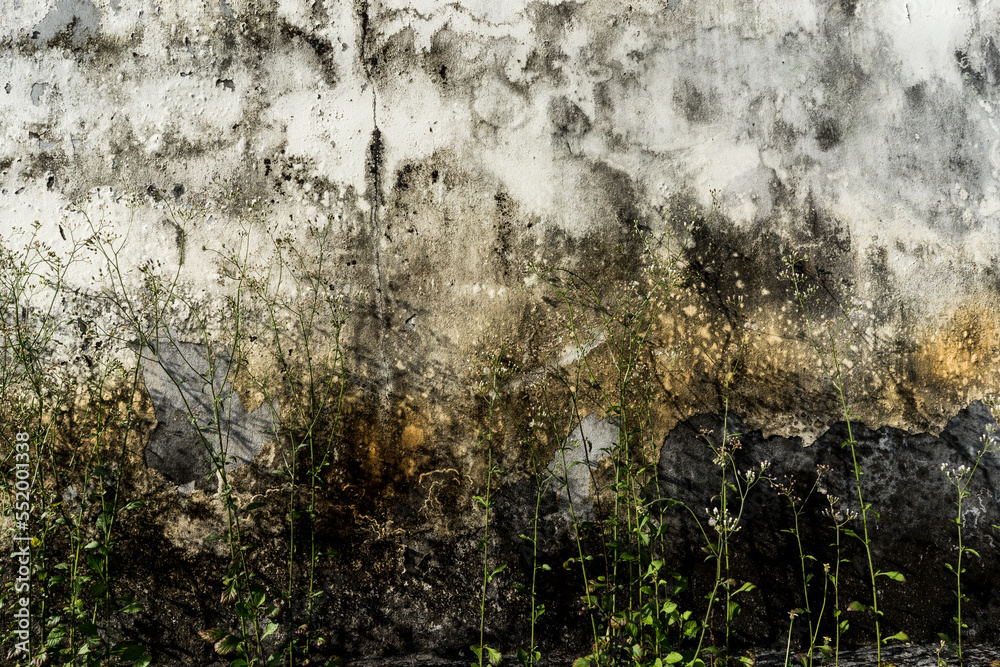 Cement wall background, rough concrete surfaces with scratches, peeling ...