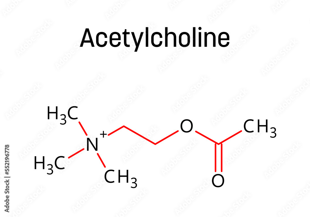 Acetylcholine molecular structure. Acetylcholine is neurotransmitter ...