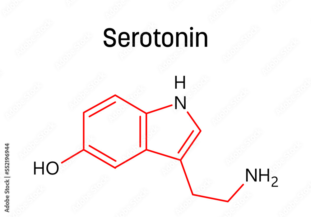 Serotonin molecular structure. Serotonin is monoamine neurotransmitter ...