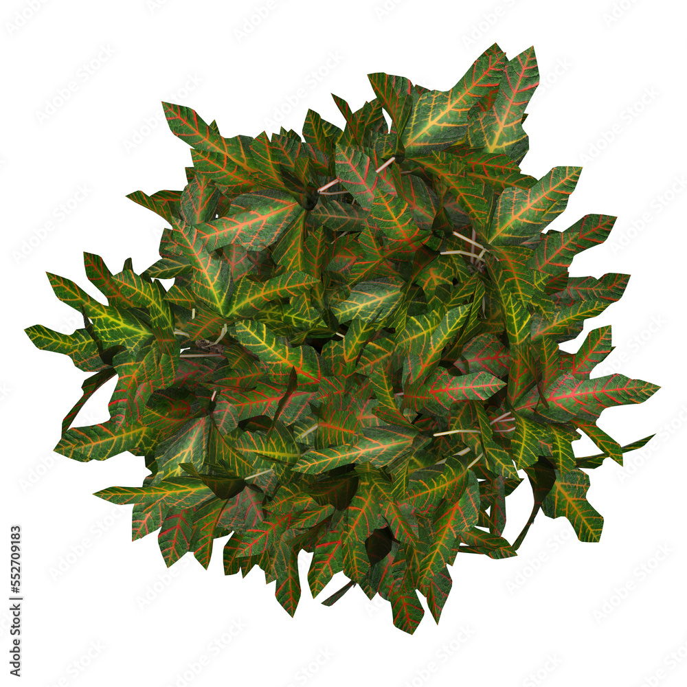 Generic Plant Tree PNG rendered in 4K Resolution for compositing and ...