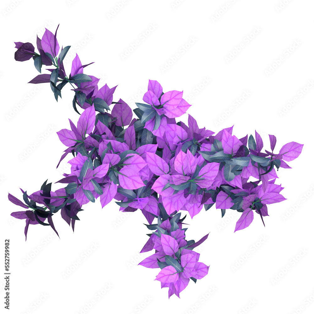 Generic Plant Tree PNG rendered in 4K Resolution for compositing and ...