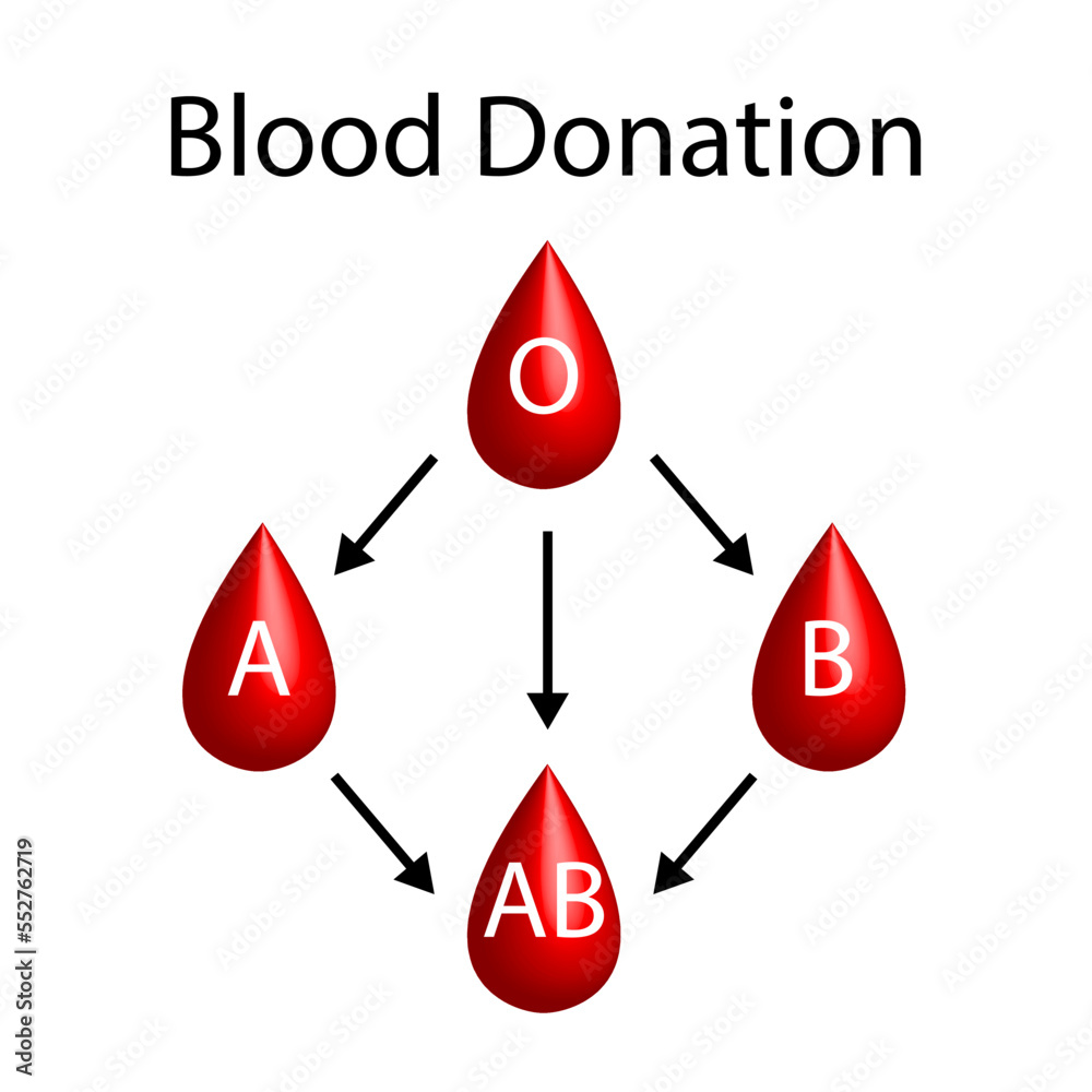 Blood compatibility, Blood donation, ABO Blood groups droplets., four ...