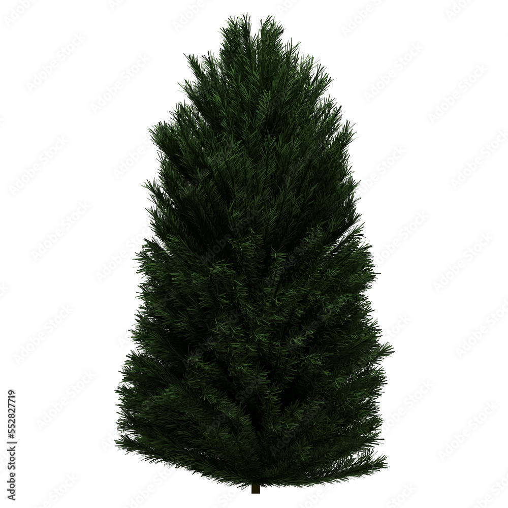 Generic Plant Tree PNG rendered in 4K Resolution for compositing and ...