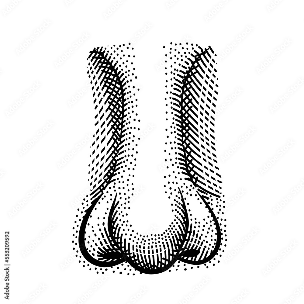 Close up of Nose from front view angle. Human biology, organ anatomy ...