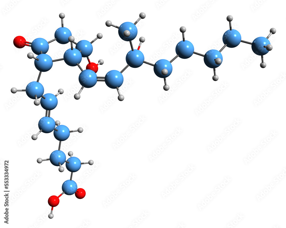 3D image of Prostaglandin E2 skeletal formula - molecular chemical ...