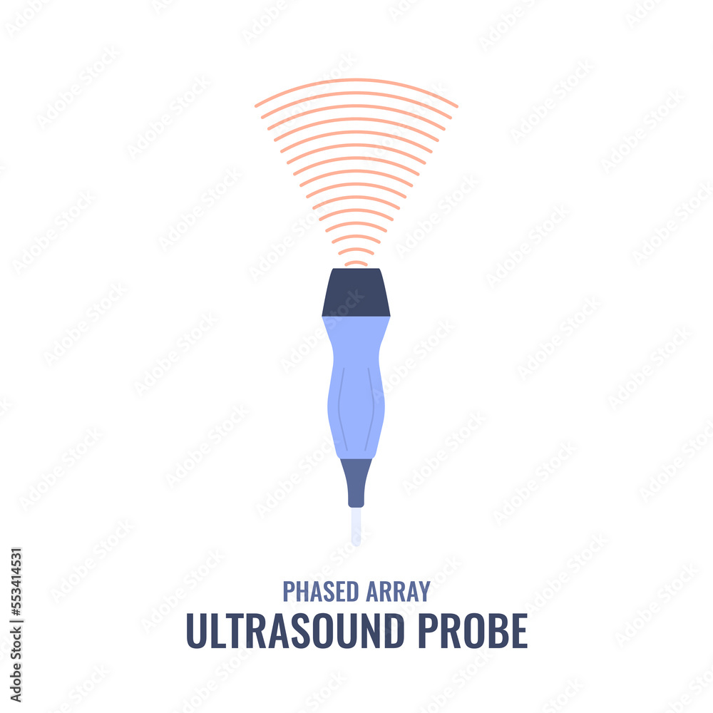 Phased array transducer icon. Cardiac ultrasound probe diagram. Medical ...