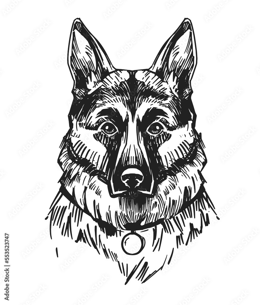 German shepherd dog, hand drawn sketch illustration. Black outline ...