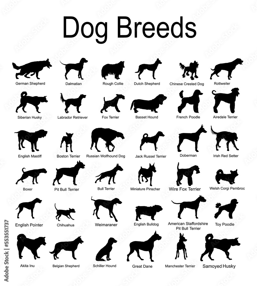 Large dog breed set collection vector silhouette illustration isolated ...