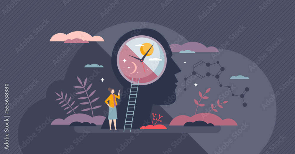 Circadian sleep rhythm with inner cycle for daily routine tiny person ...